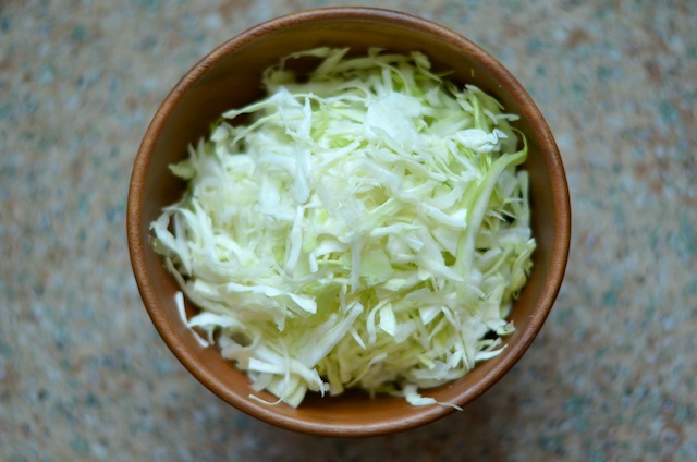 Fermented Health Salad – that paleo couple